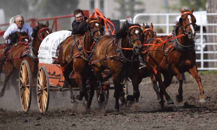 Manitoba Stampede: This isn’t your grandpa’s rodeo – Winnipeg Free Press
