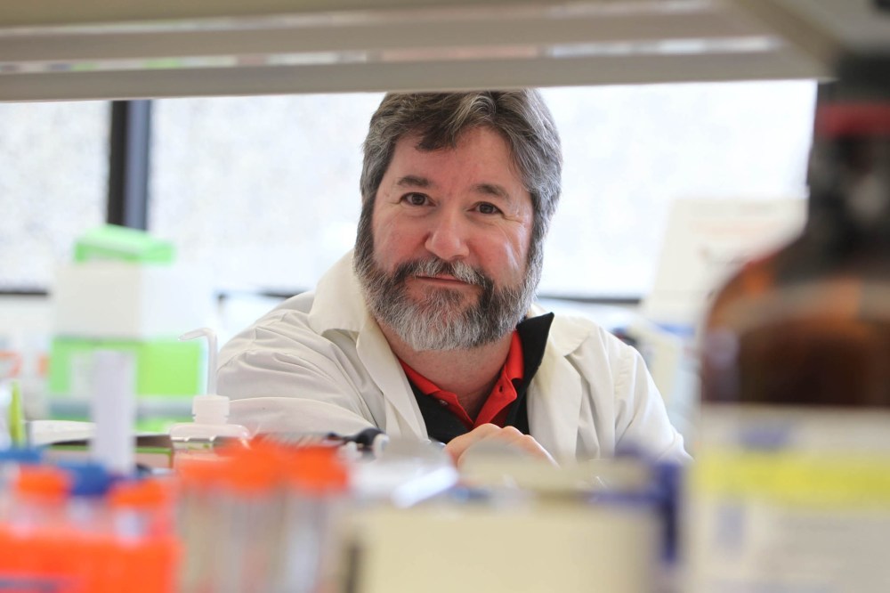 U of M team finds a key to ALS – Winnipeg Free Press