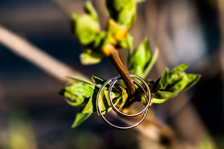 I do… take two – Winnipeg Free Press