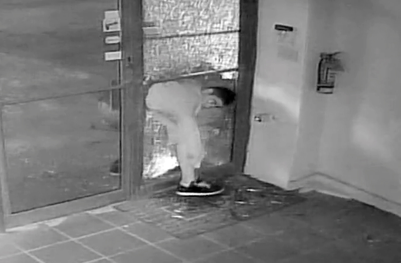 Bumbling crook uses his head – Winnipeg Free Press