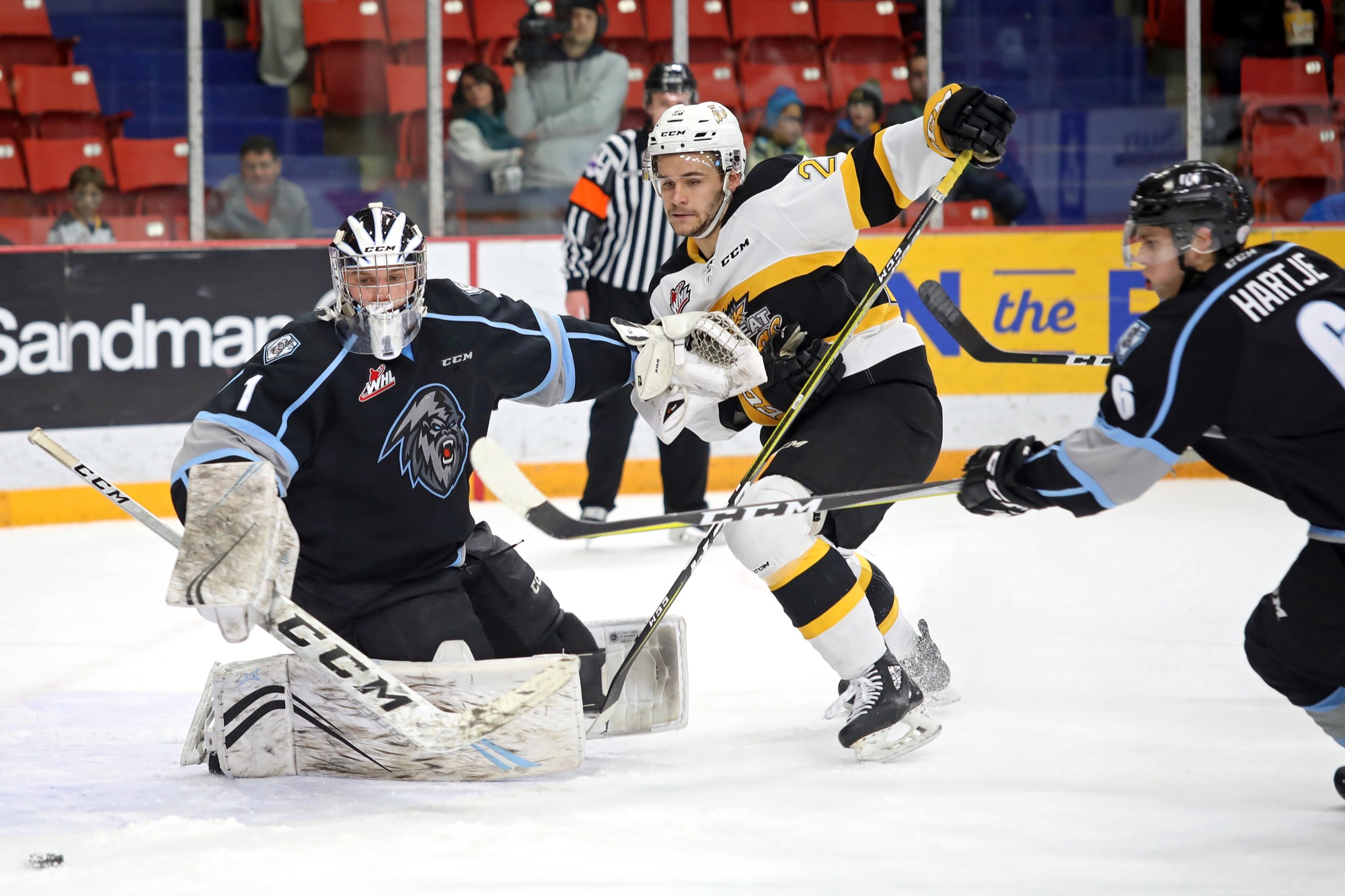 Veteran Makaj could boost Ice’s fortunes in net – Winnipeg Free Press