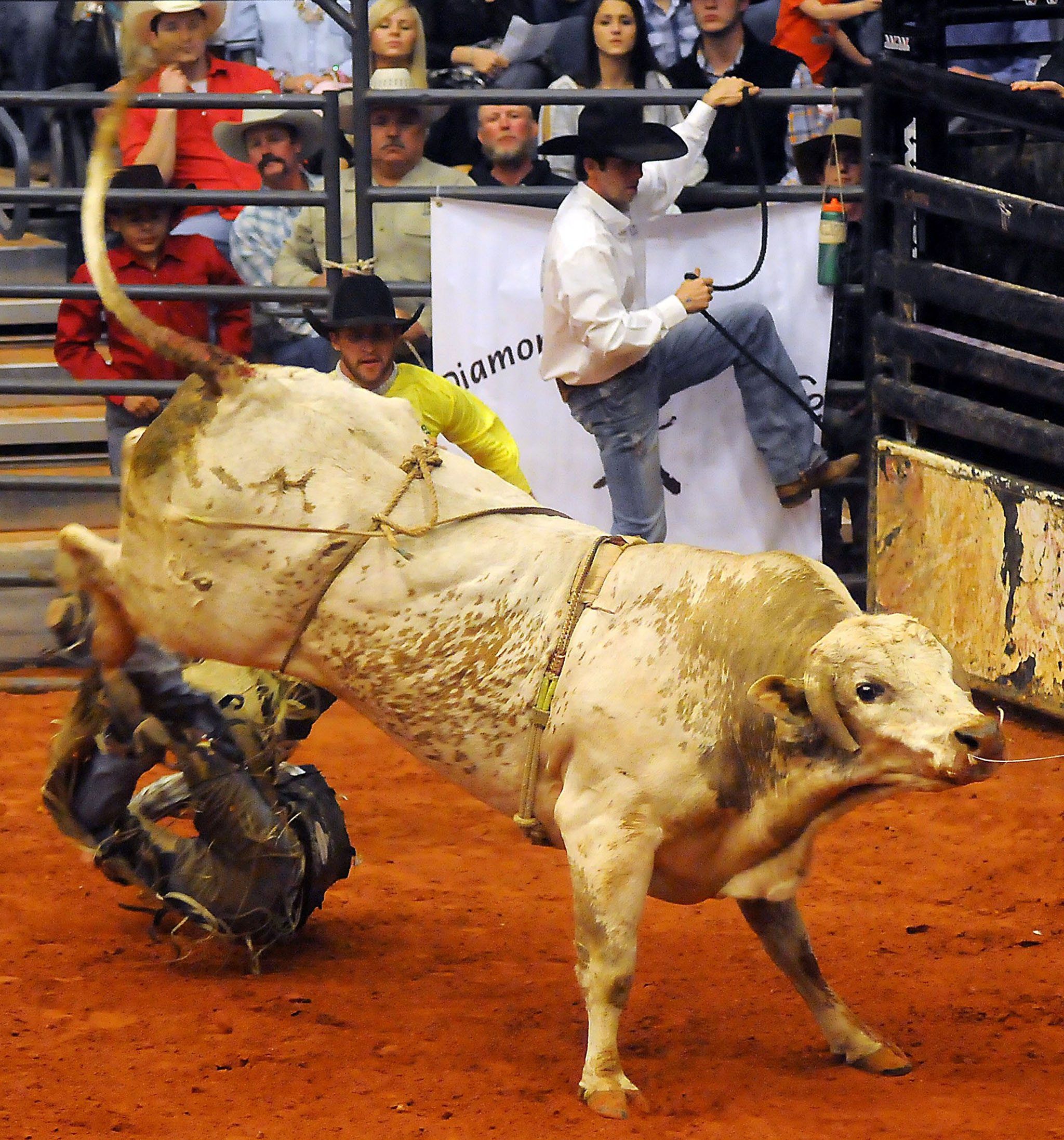 Bull riders bouncing into city in April – Winnipeg Free Press