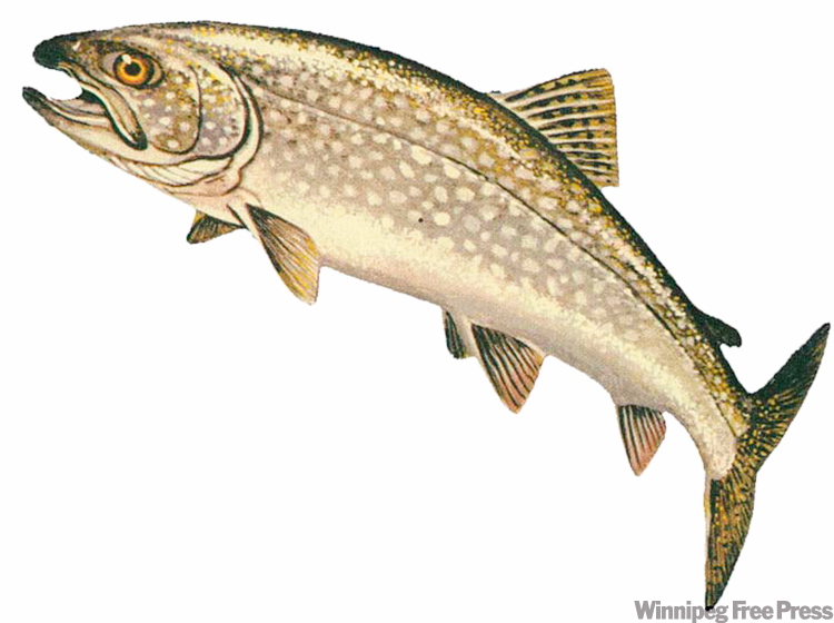 Fly-in fishing casts a lasting thrill – Winnipeg Free Press