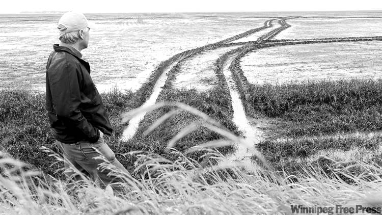 Wheat drowning on Prairies – Winnipeg Free Press