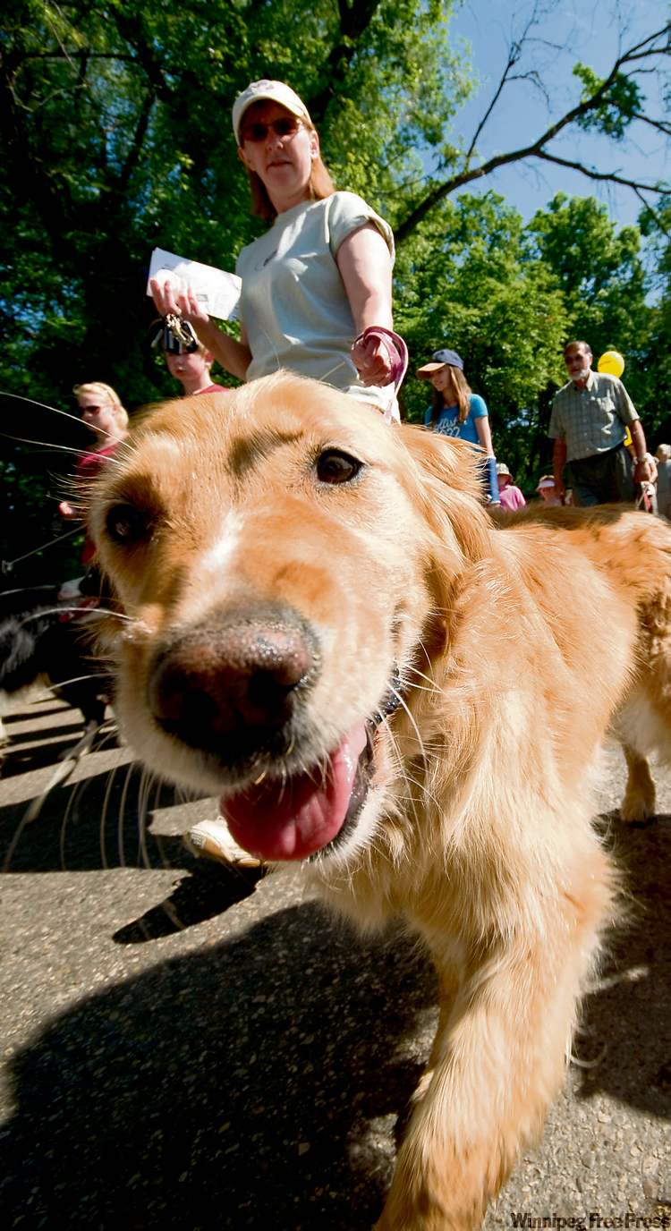 A barkin’ GOOD TIME – Winnipeg Free Press