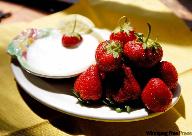 Berry interesting – Winnipeg Free Press