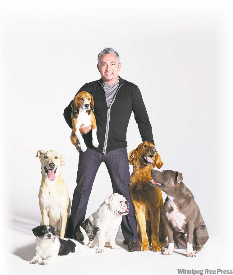 Top dog – Winnipeg Free Press