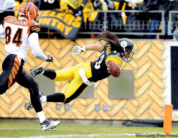 Troy Polamalu Interception 2022