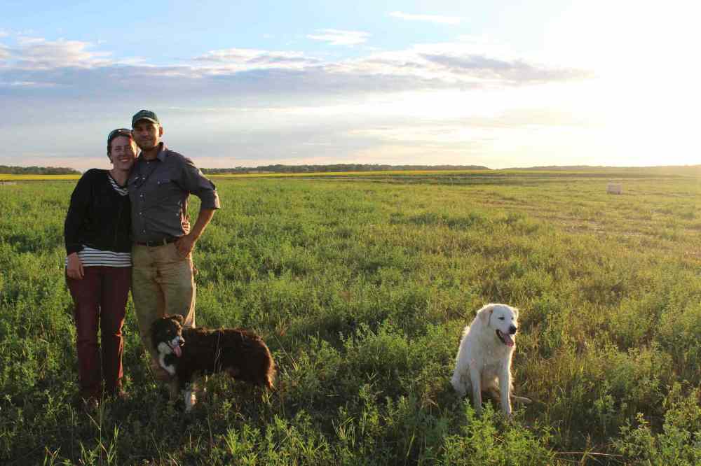 Farming: the next generation – Winnipeg Free Press
