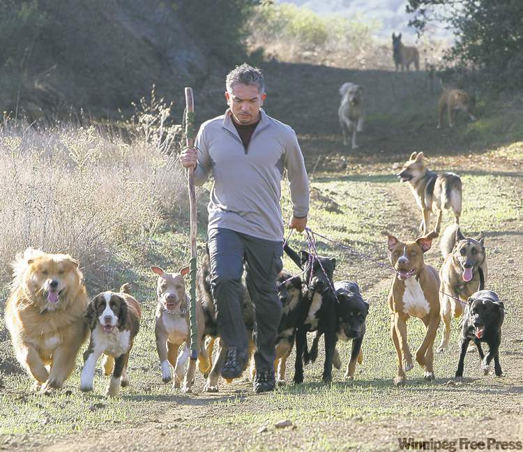 Leading the pack – Winnipeg Free Press