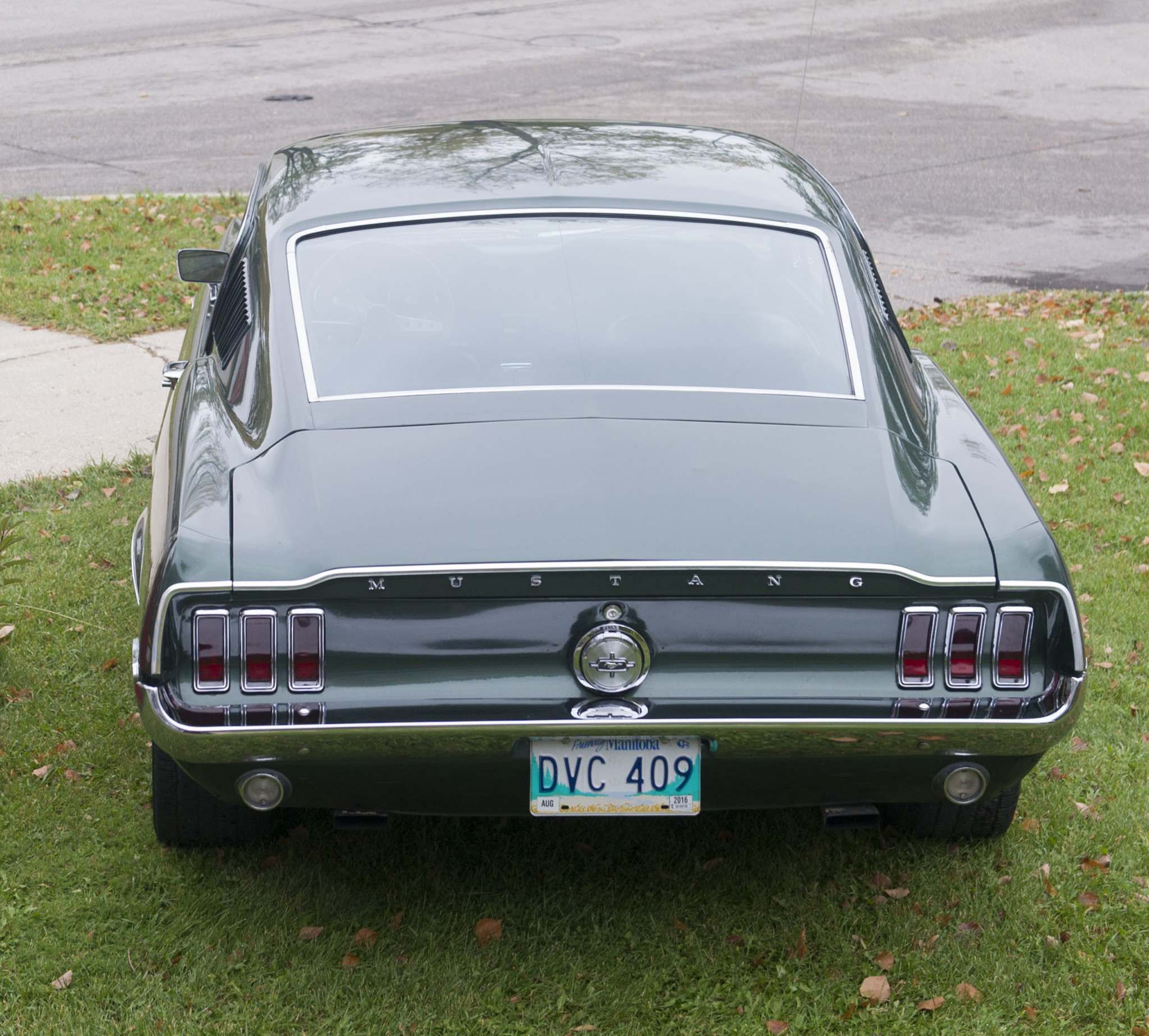 Picture-perfect PONY – Winnipeg Free Press