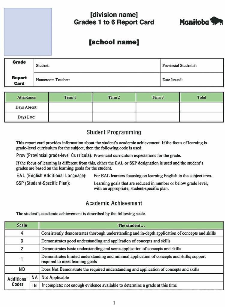 Report cards make the grade – Winnipeg Free Press