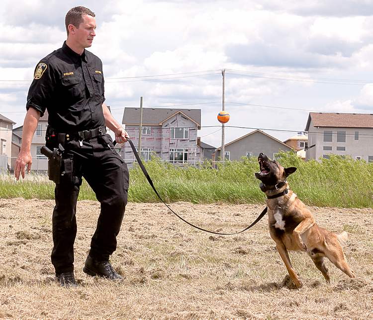 Police canine-unit facility to open in 2013 – Winnipeg Free Press