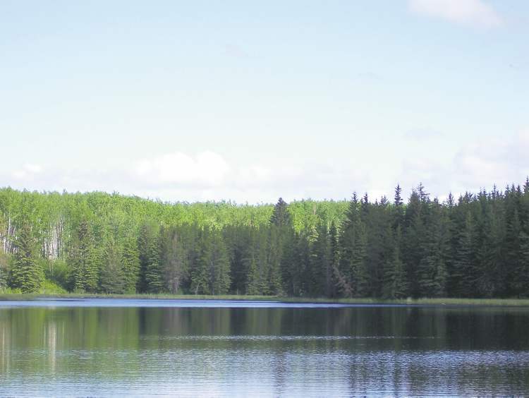 Manitoba mountain high – Winnipeg Free Press