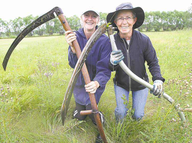 They love to get into the swing with scythes – Winnipeg Free Press
