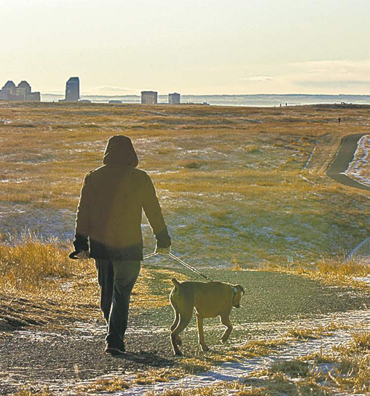 U.S. cop blasted for wishing to carry gun in Calgary park – Winnipeg ...