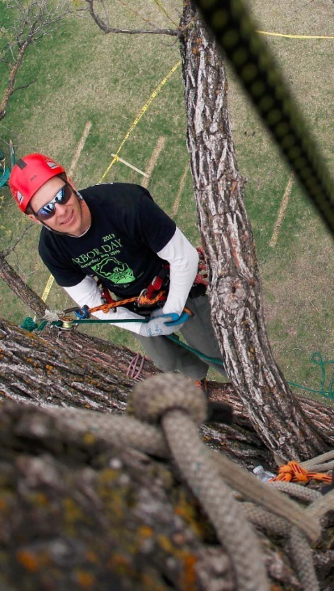 Manitoba tree climber heads to world championships – Winnipeg Free Press