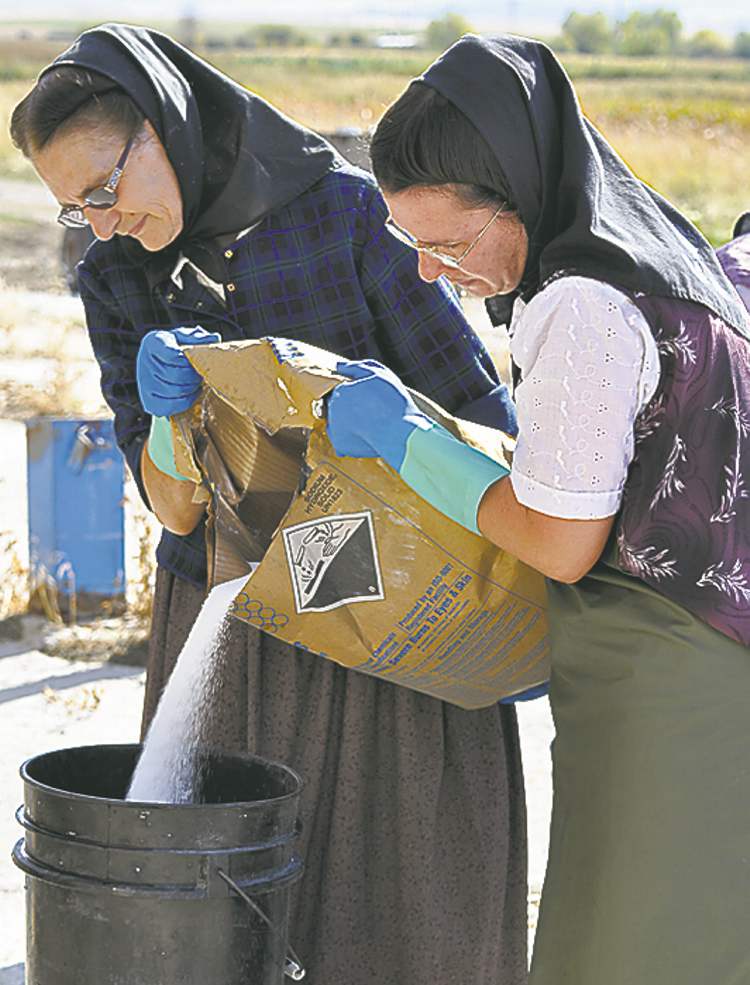 Cultural geographers focus on differences among Hutterites – Winnipeg ...