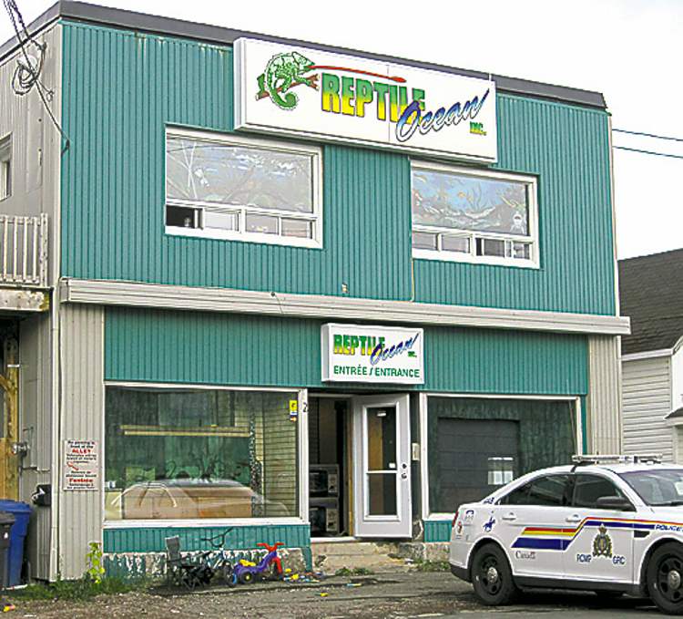 Python kills two New Brunswick boys – Winnipeg Free Press