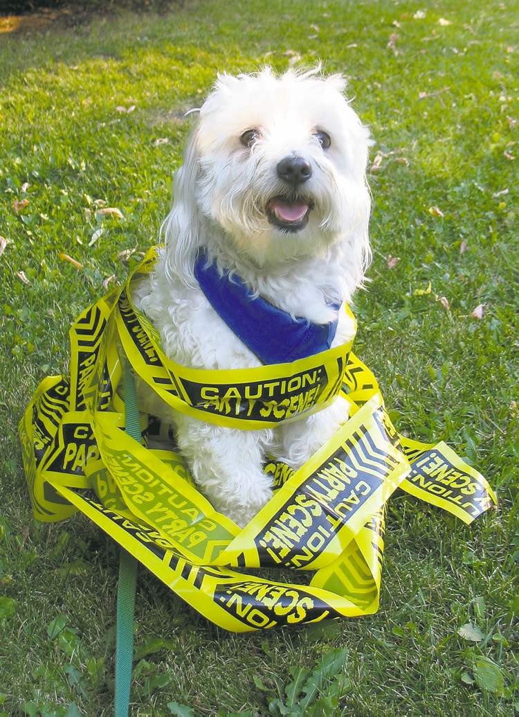 Approach with caution – Winnipeg Free Press