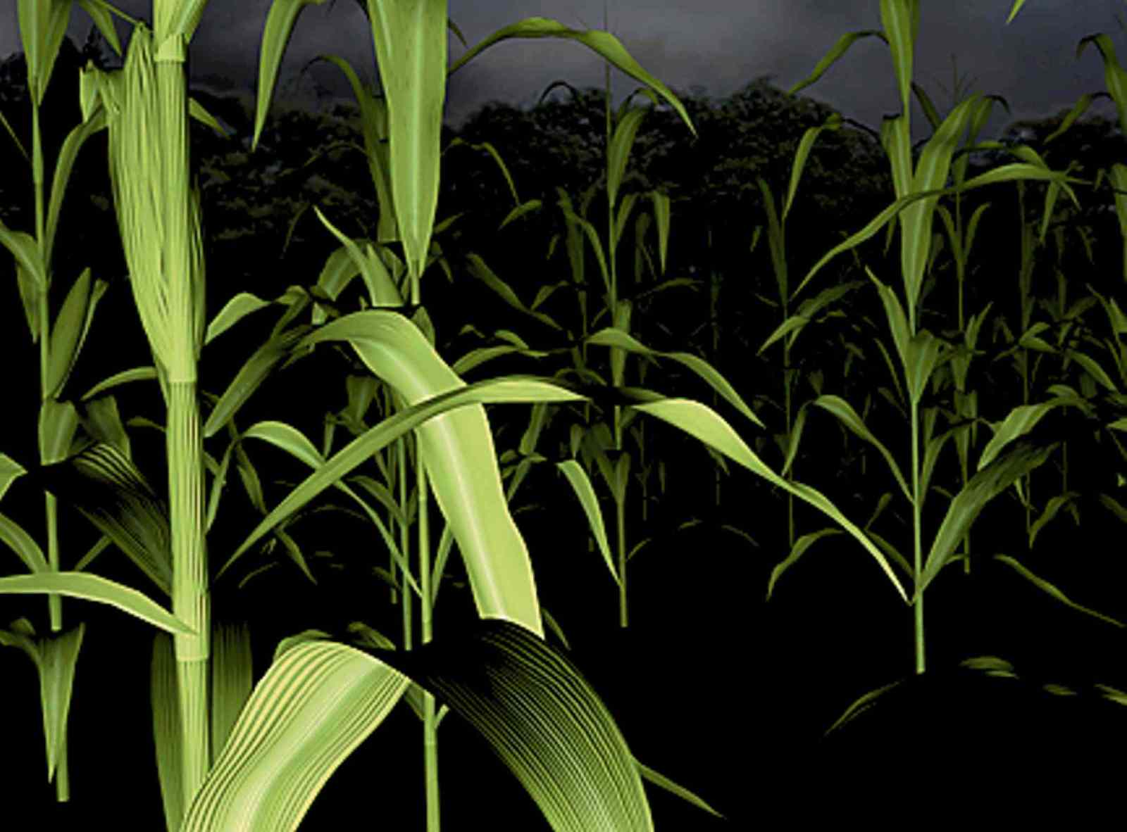 Sinister farm scenes brought to life by traditional drawings and ...