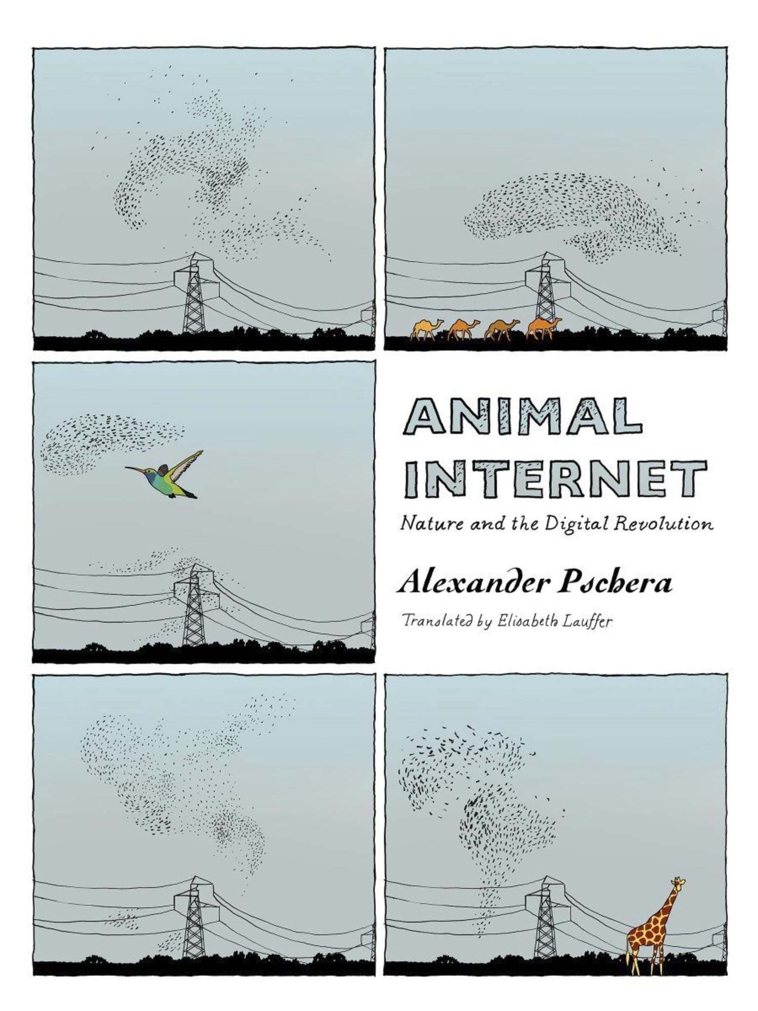 Animal Internet could help species survive – Winnipeg Free Press
