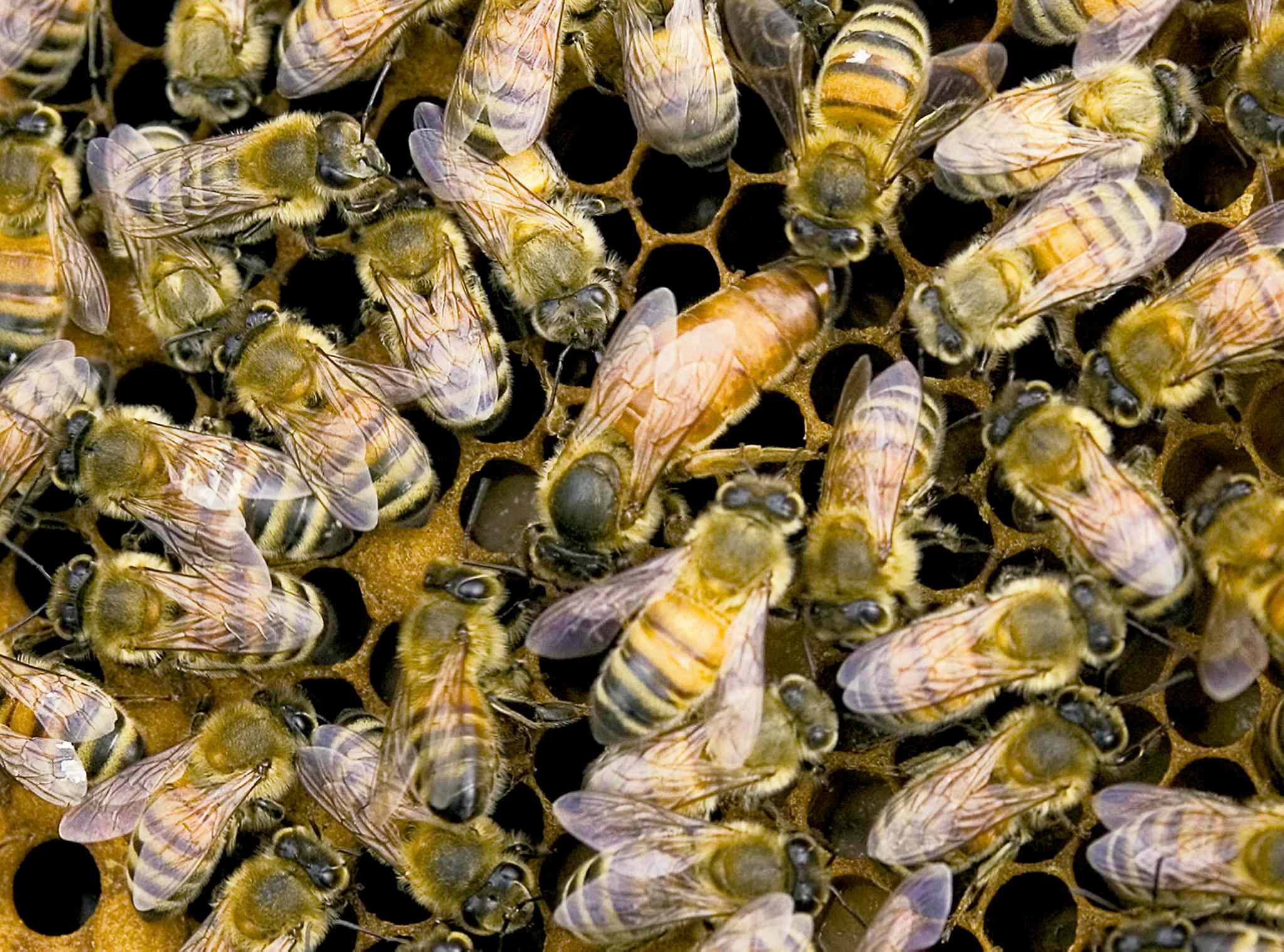 HIVE mentality – Winnipeg Free Press