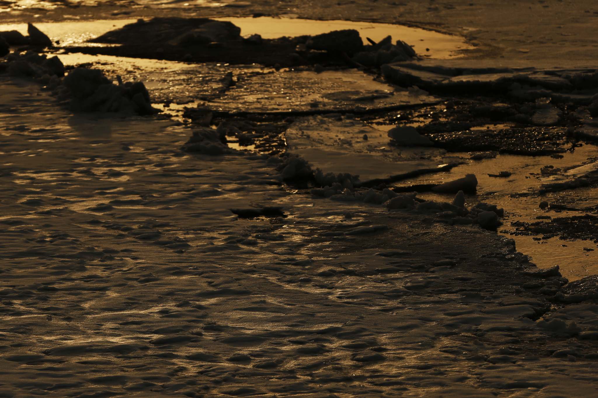 Province opens Shellmouth Dam to help with potential Assiniboine ...