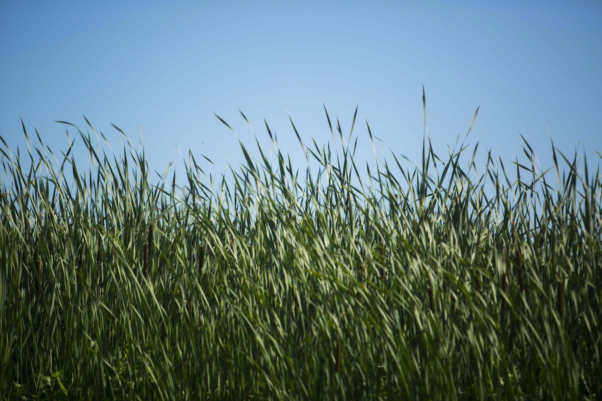 Low-water mark – Winnipeg Free Press