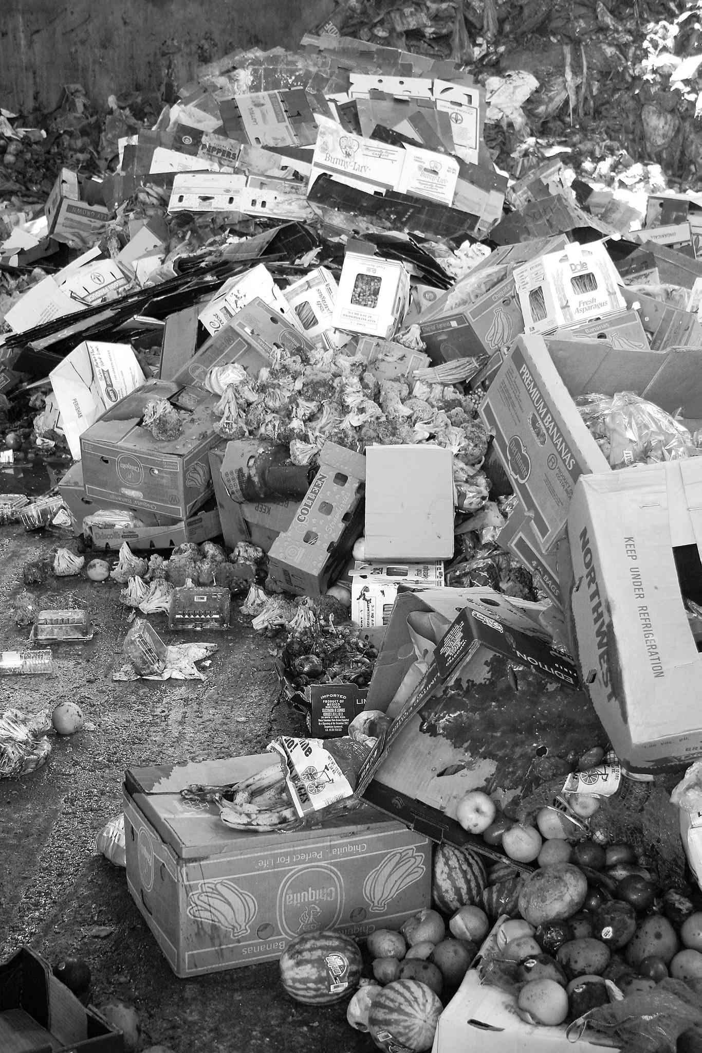 Food faddism leads to food waste – Winnipeg Free Press