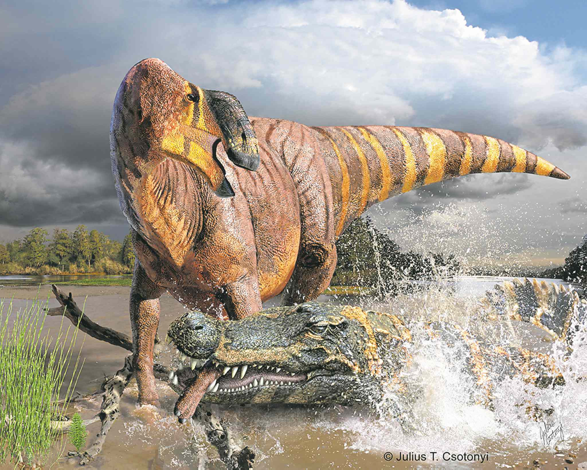 The supersized schnoz – Winnipeg Free Press