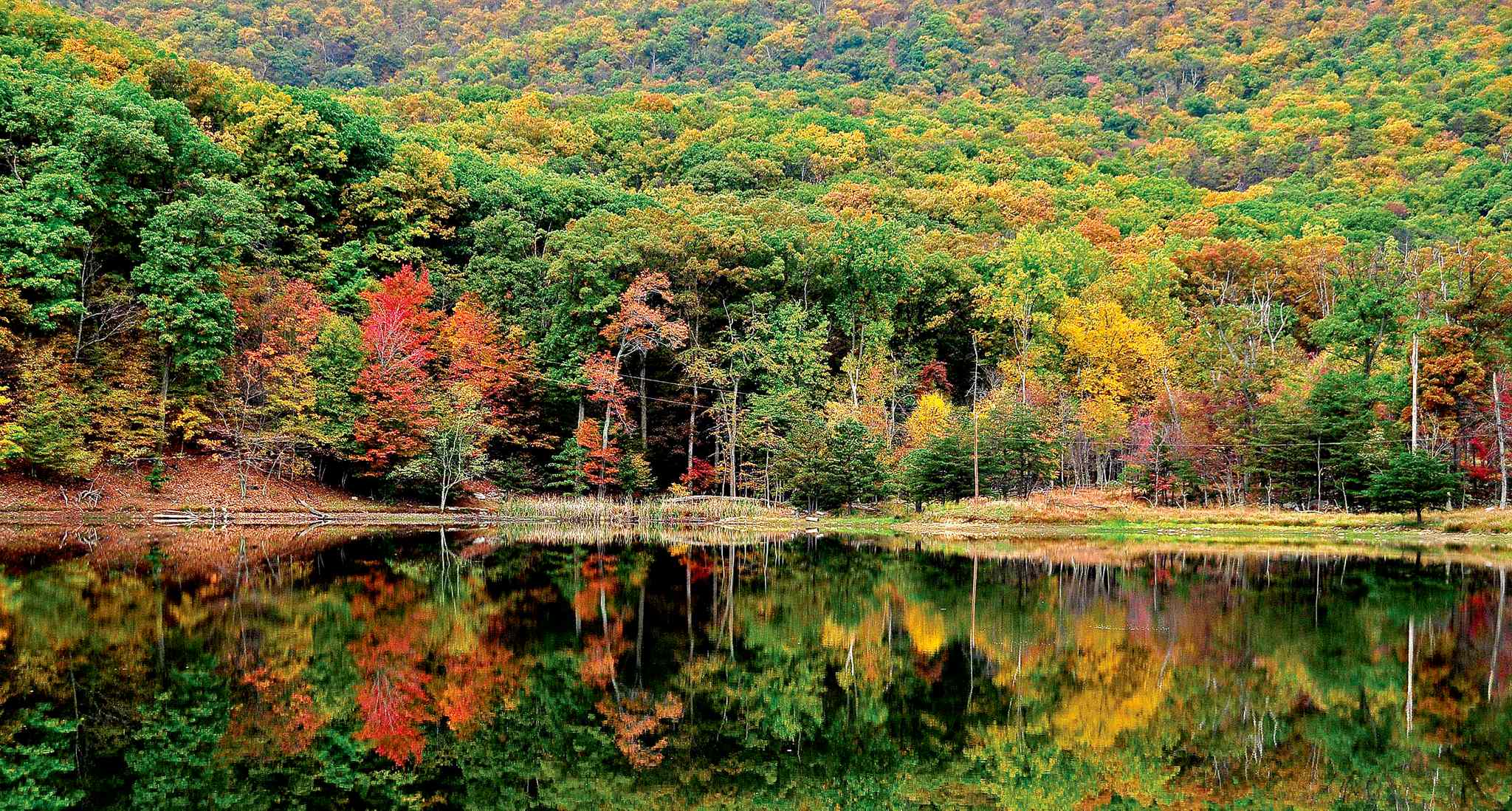 Falling for fall – Winnipeg Free Press