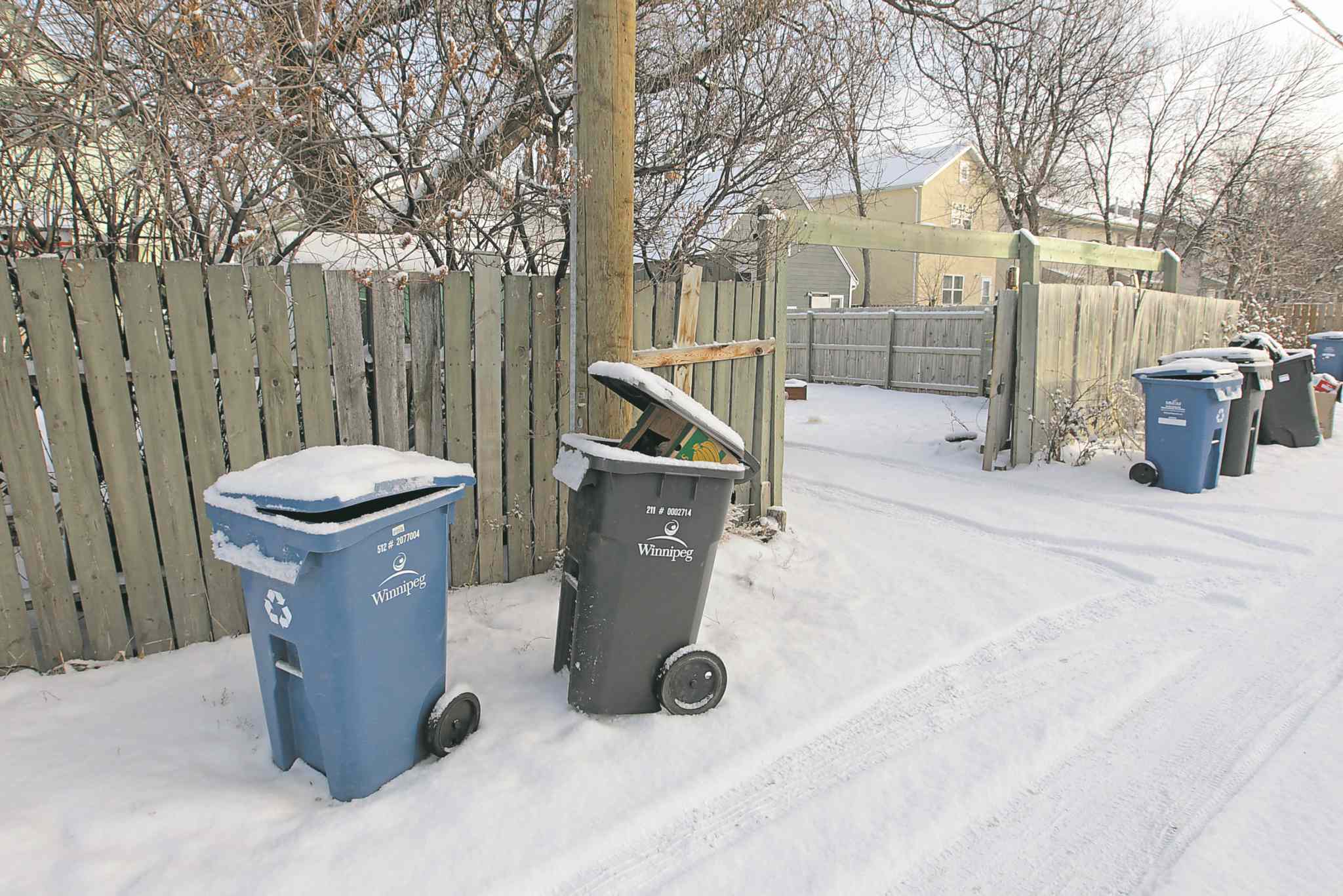 Baby dumped in waste bin – Winnipeg Free Press