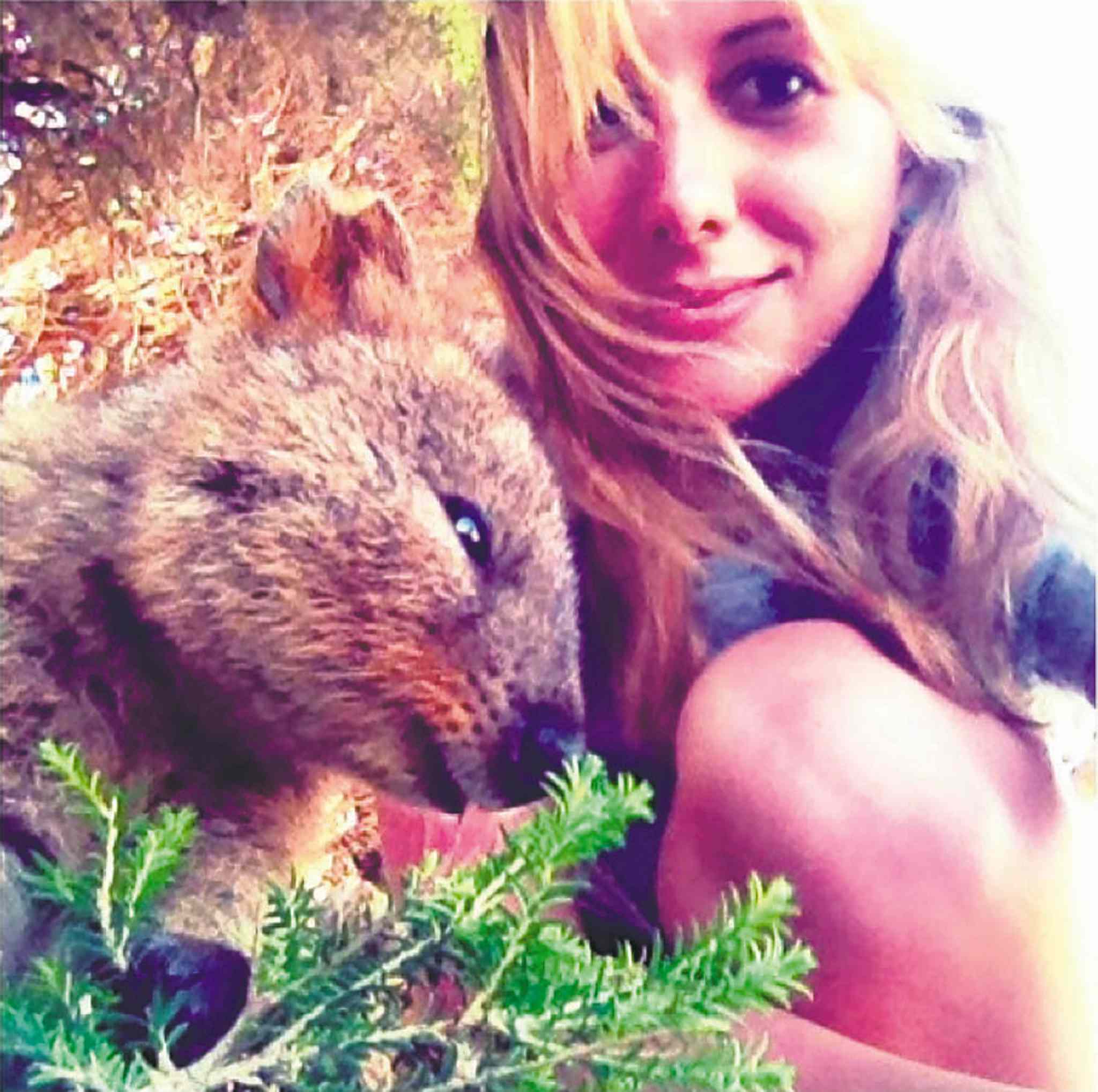 Aussie furball the cutest thing ever – Winnipeg Free Press