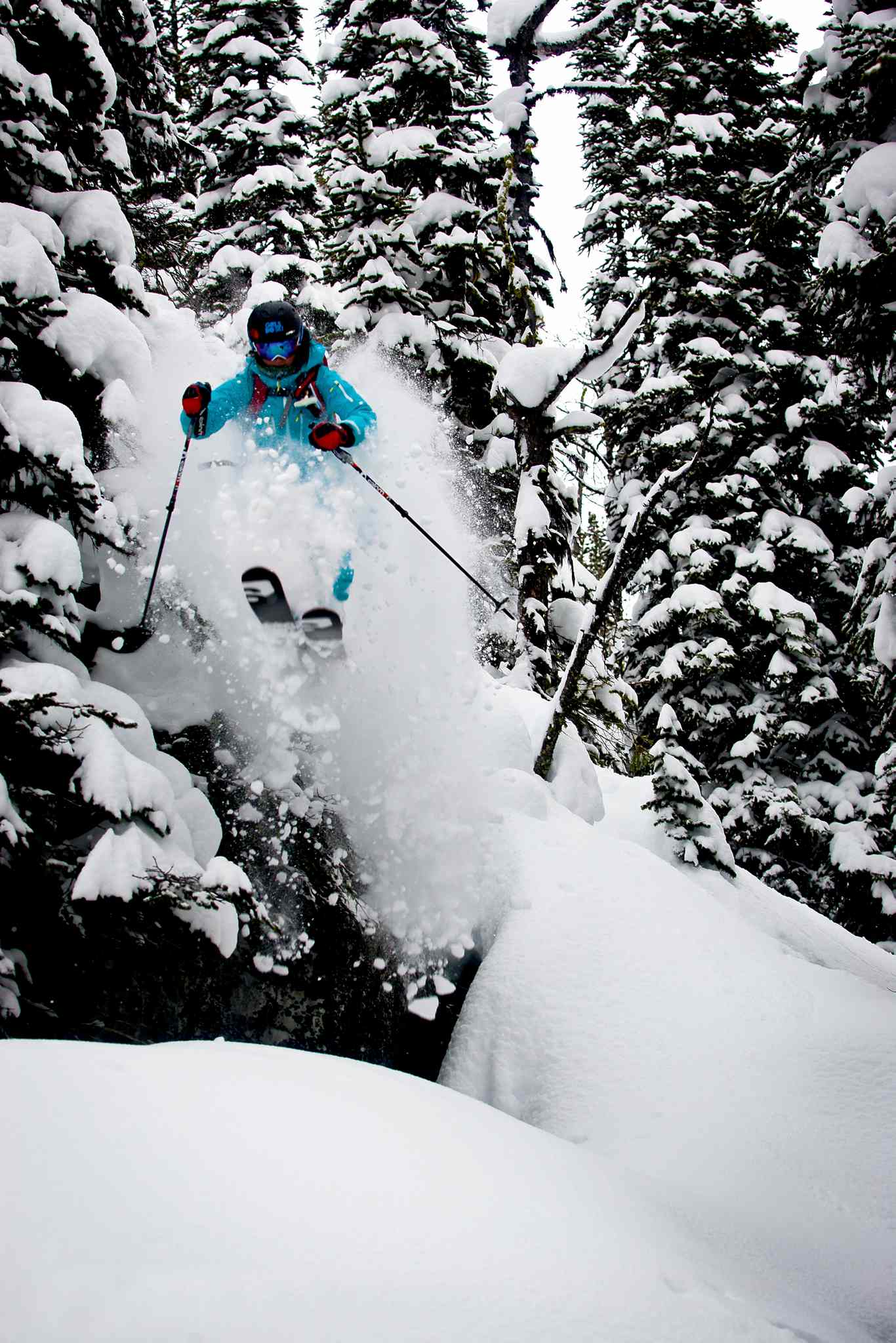 Powder play – Winnipeg Free Press