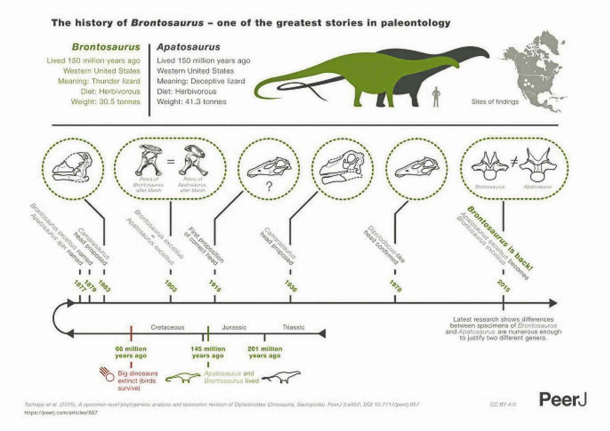 New life for brontosaurus – Winnipeg Free Press