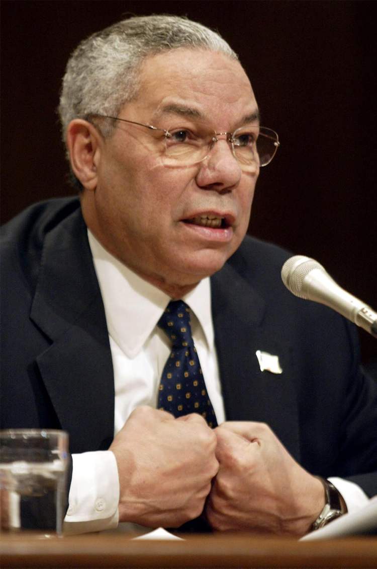 Weapons of mass… amnesia – Winnipeg Free Press