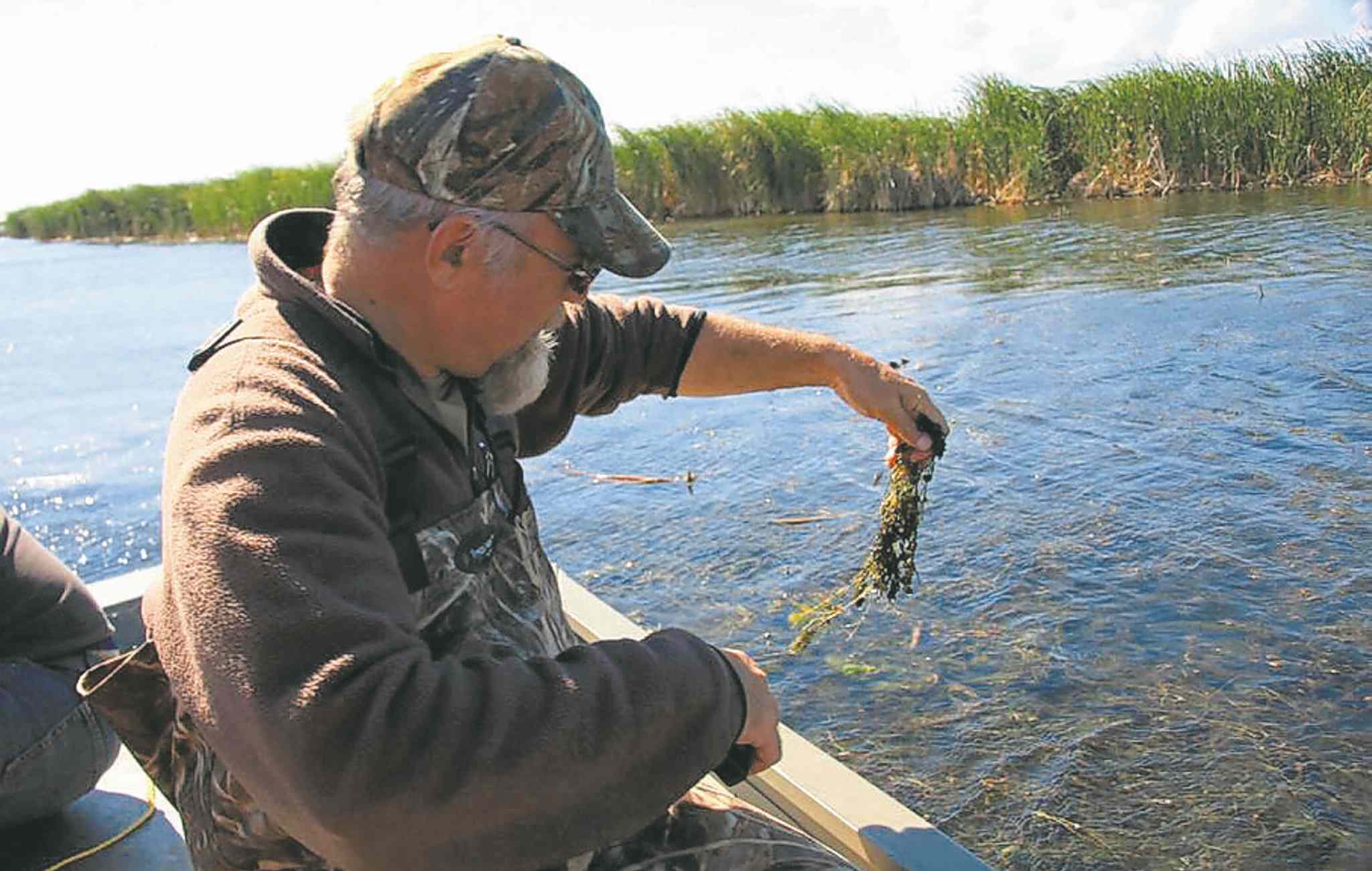 Delving into Delta Marsh – Winnipeg Free Press