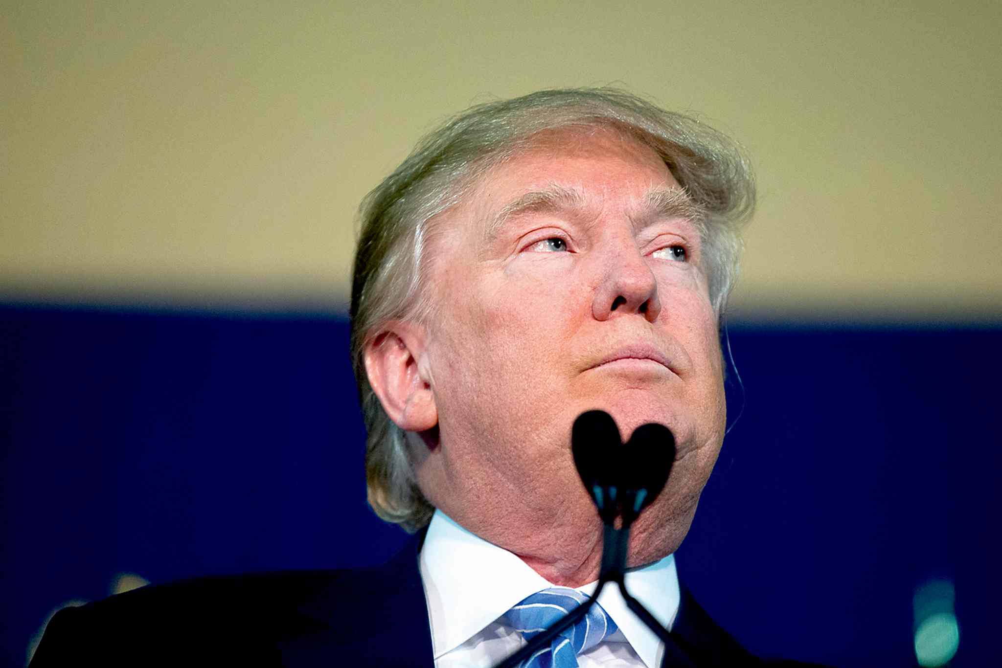 Trump vs. Sanders vs… Bloomberg? – Winnipeg Free Press