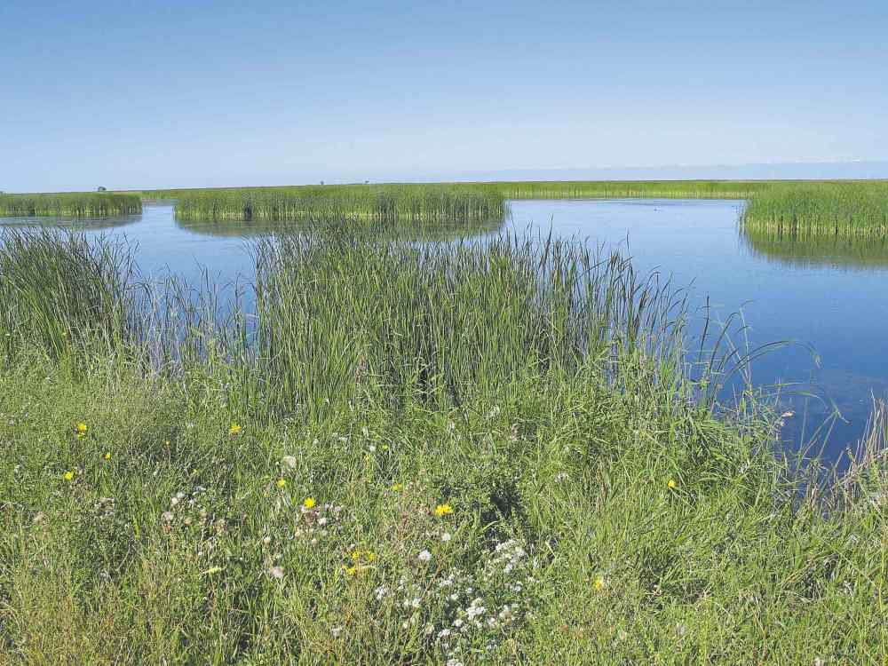 Harbouring habitat – Winnipeg Free Press