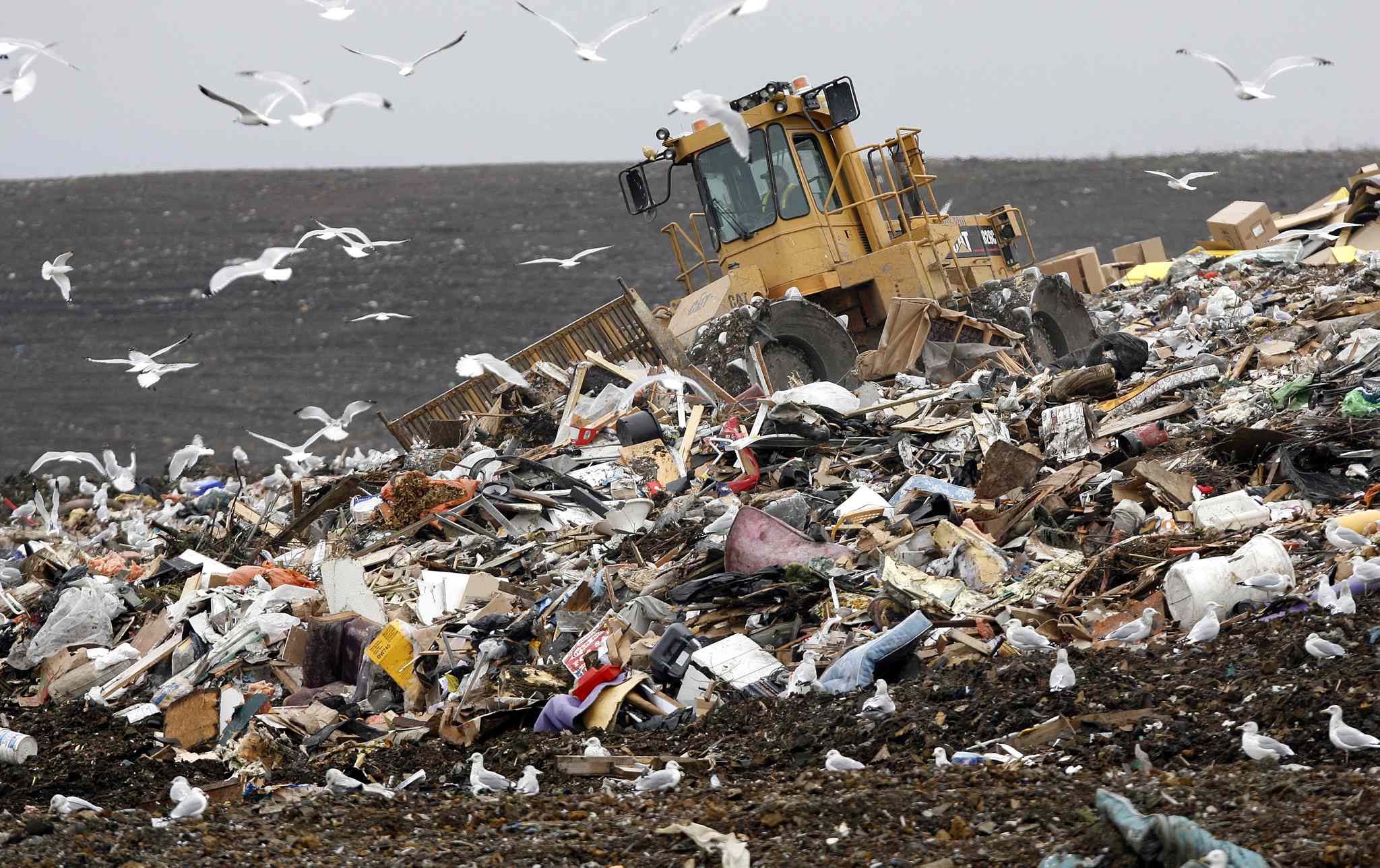 Developer proposes dumping inert lime at Brady landfill – Winnipeg Free ...