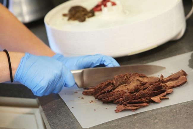 Canadian study finds no mental health benefits to eating human placenta ...