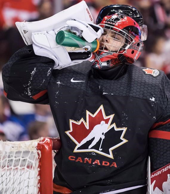 Canucks summon Ottawa 67’s goalie Mike DiPietro on ’emergency basis ...