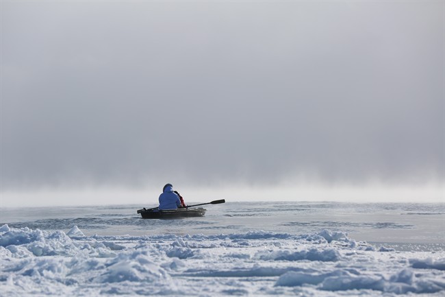 Documentary ‘Angry Inuk’ at Hot Docs fest shows role of Inuit in seal ...