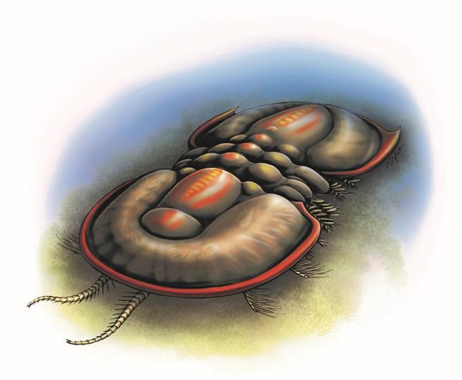Burgess Shale fossils add branches to tree of life, says Royal Society ...