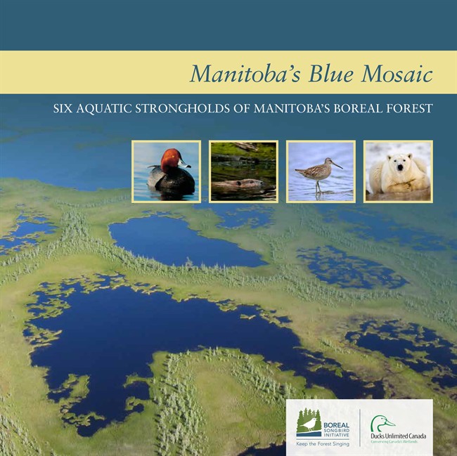 Manitoba conservation groups call for more protected areas in boreal ...