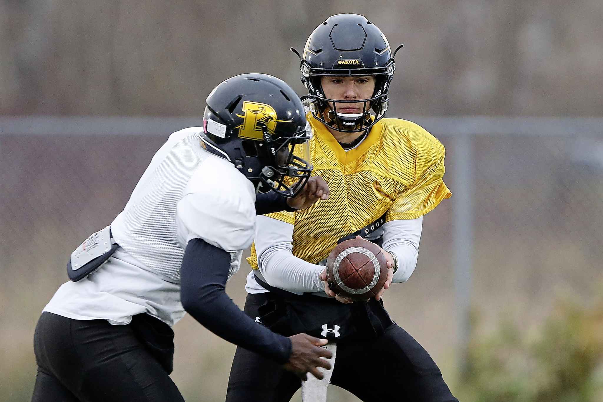 New kid on the field – Winnipeg Free Press