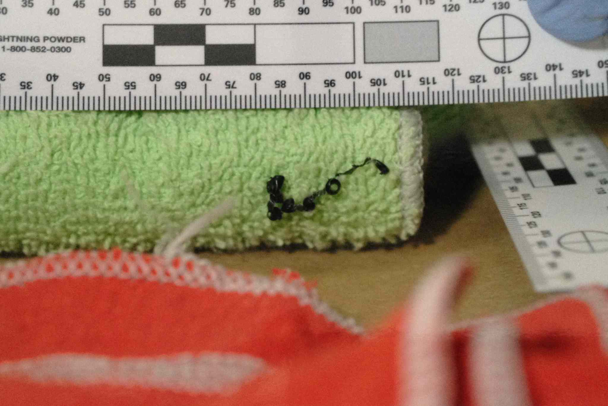 Forensic evidence revealed at murder trial – Winnipeg Free Press