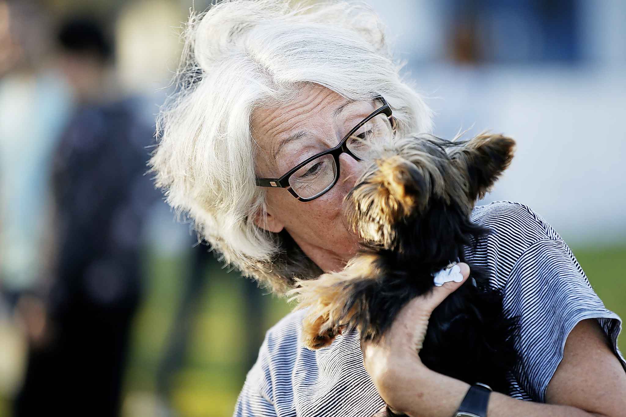 A pawsitive experience – Winnipeg Free Press