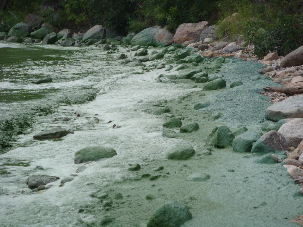 First-level algae advisory signs posted at Hillside Beach – Winnipeg ...